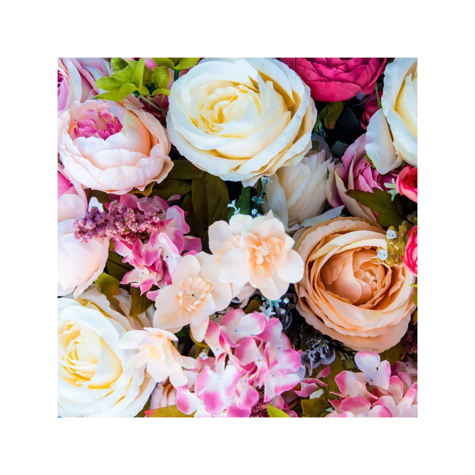 Suscripciones – Flores Amaranta