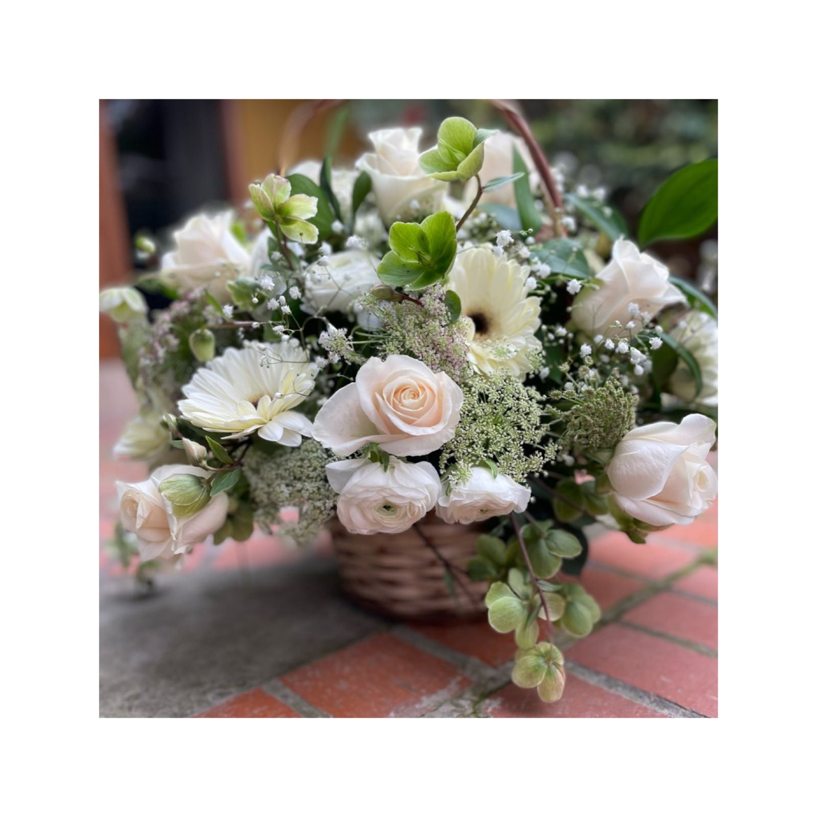 Toda Ocasion – Flores Amaranta