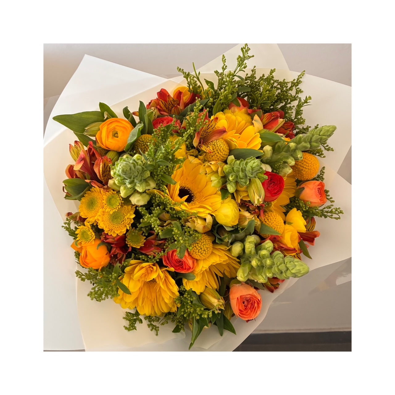 RF31 – Flores Amaranta