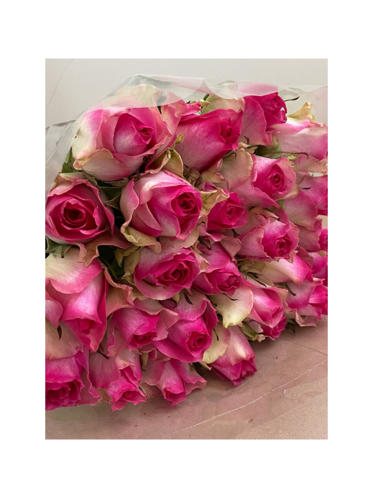 Rosas – Flores Amaranta