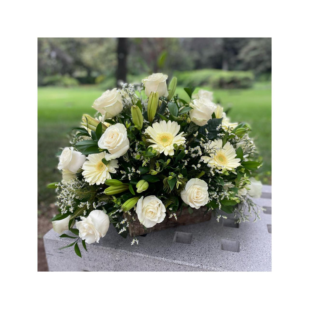 AC18 – Flores Amaranta