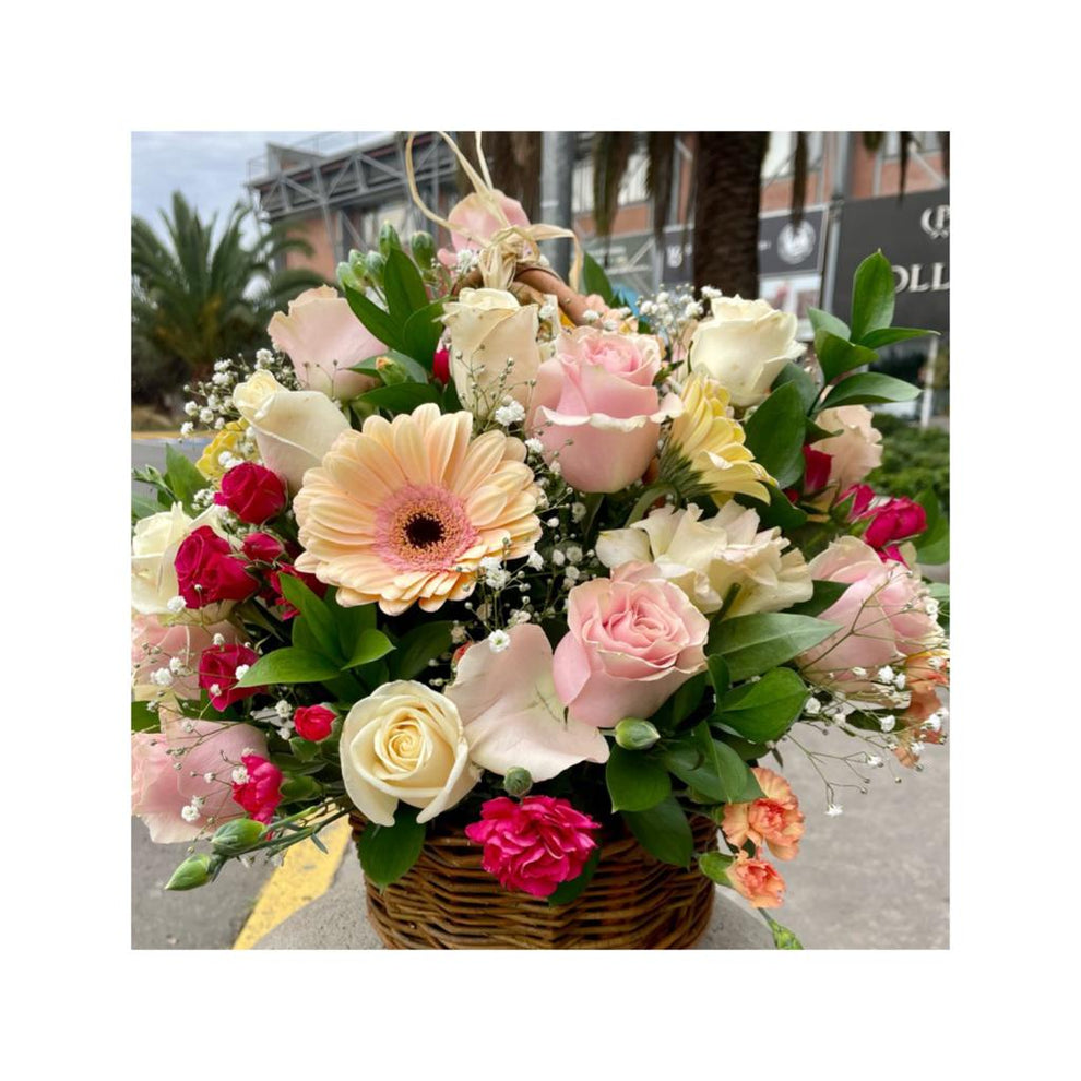 T10 – Flores Amaranta