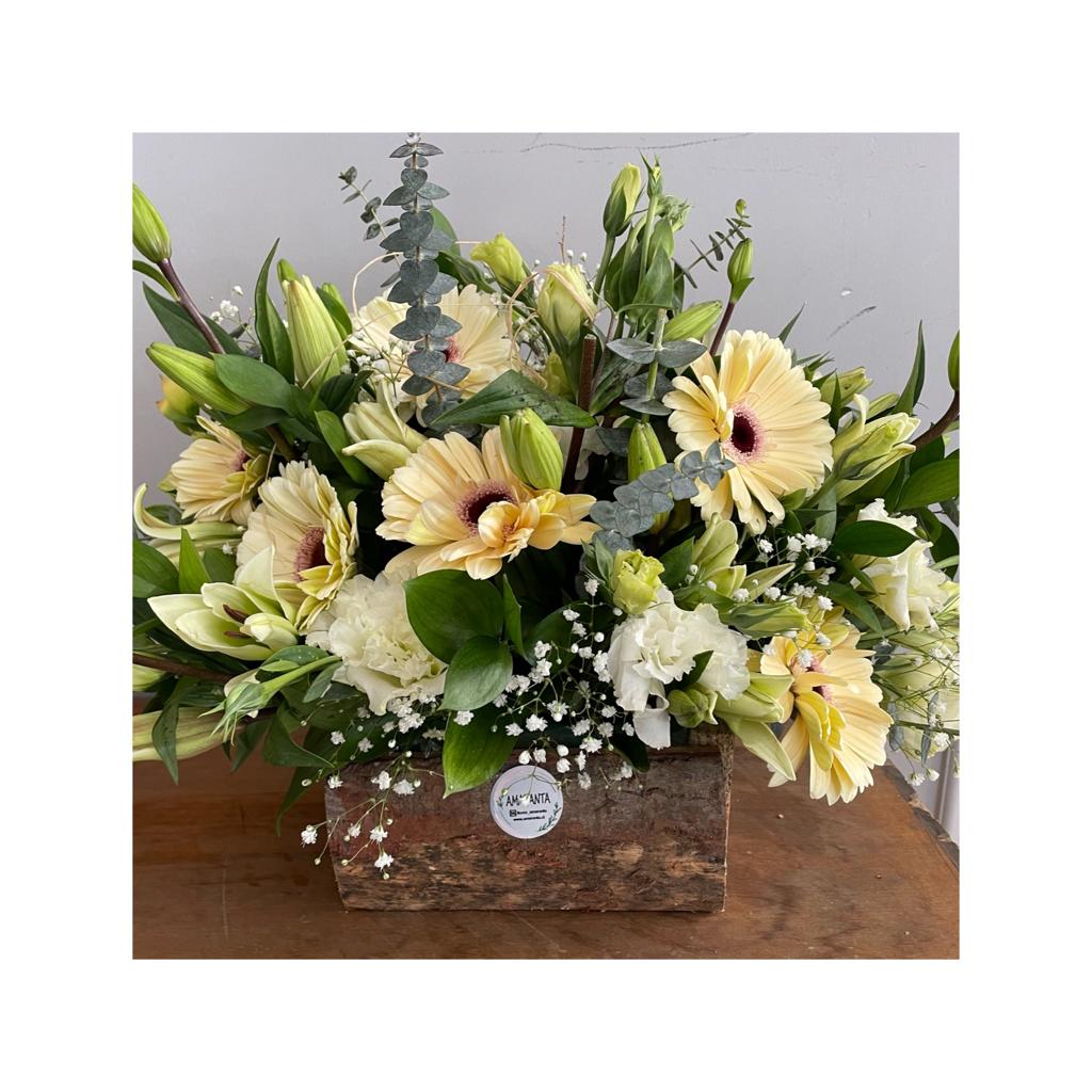 T12 – Flores Amaranta