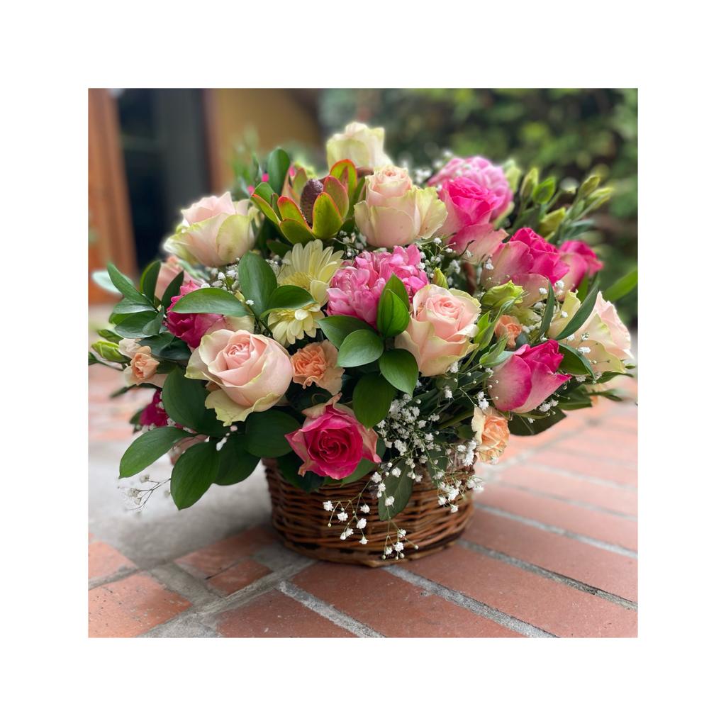 T14 – Flores Amaranta