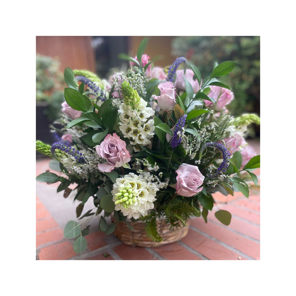 T15 – Flores Amaranta