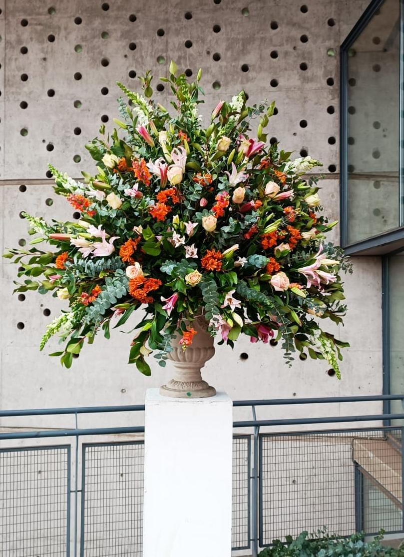 DF03 – Flores Amaranta