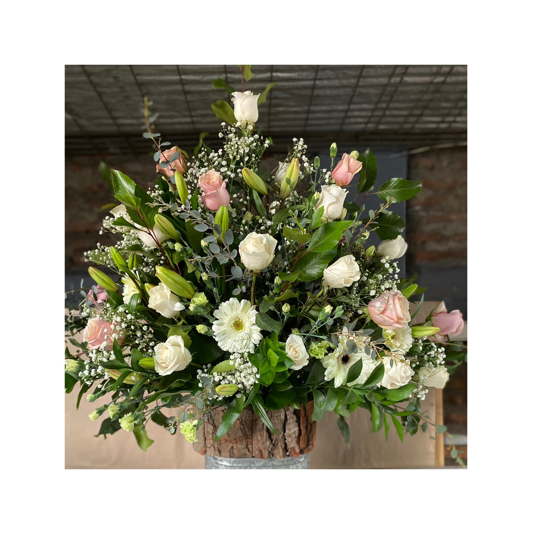 AC19 – Flores Amaranta