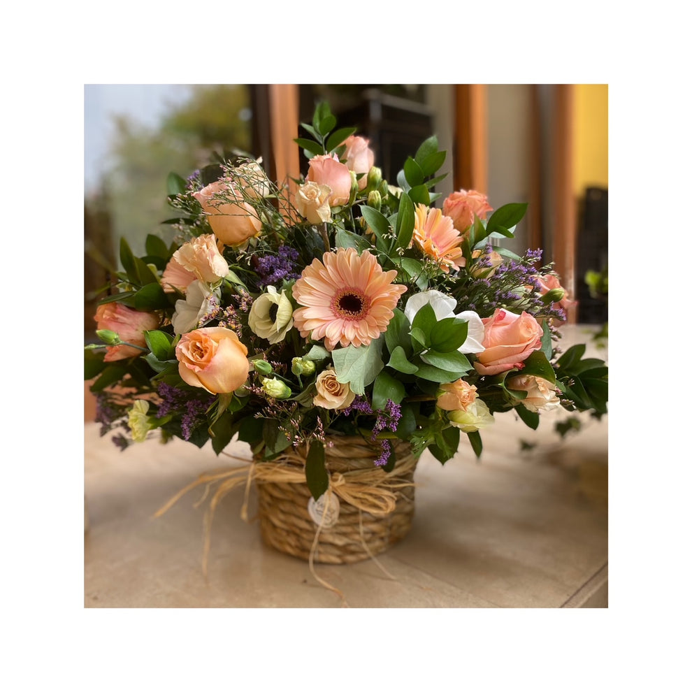 T19 – Flores Amaranta