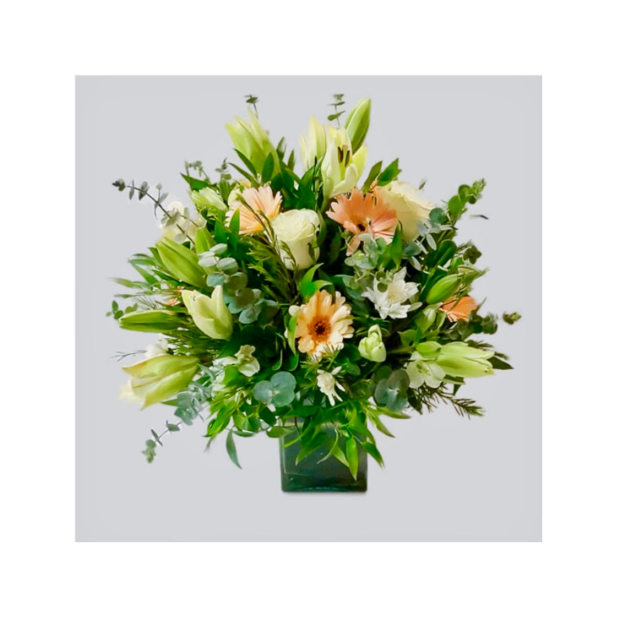 T24 – Flores Amaranta