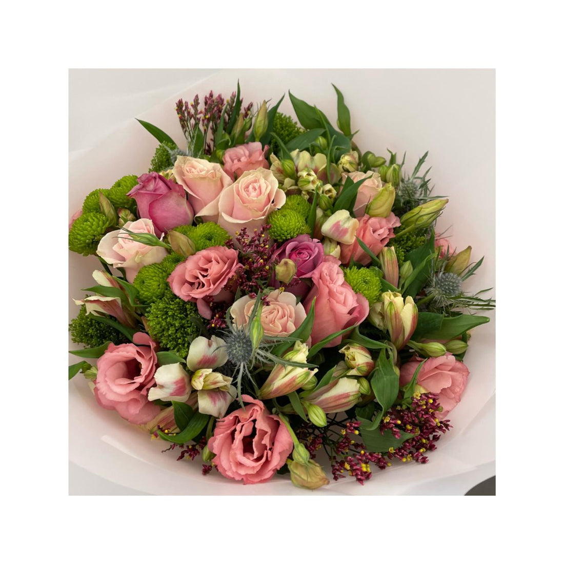 RF41 – Flores Amaranta